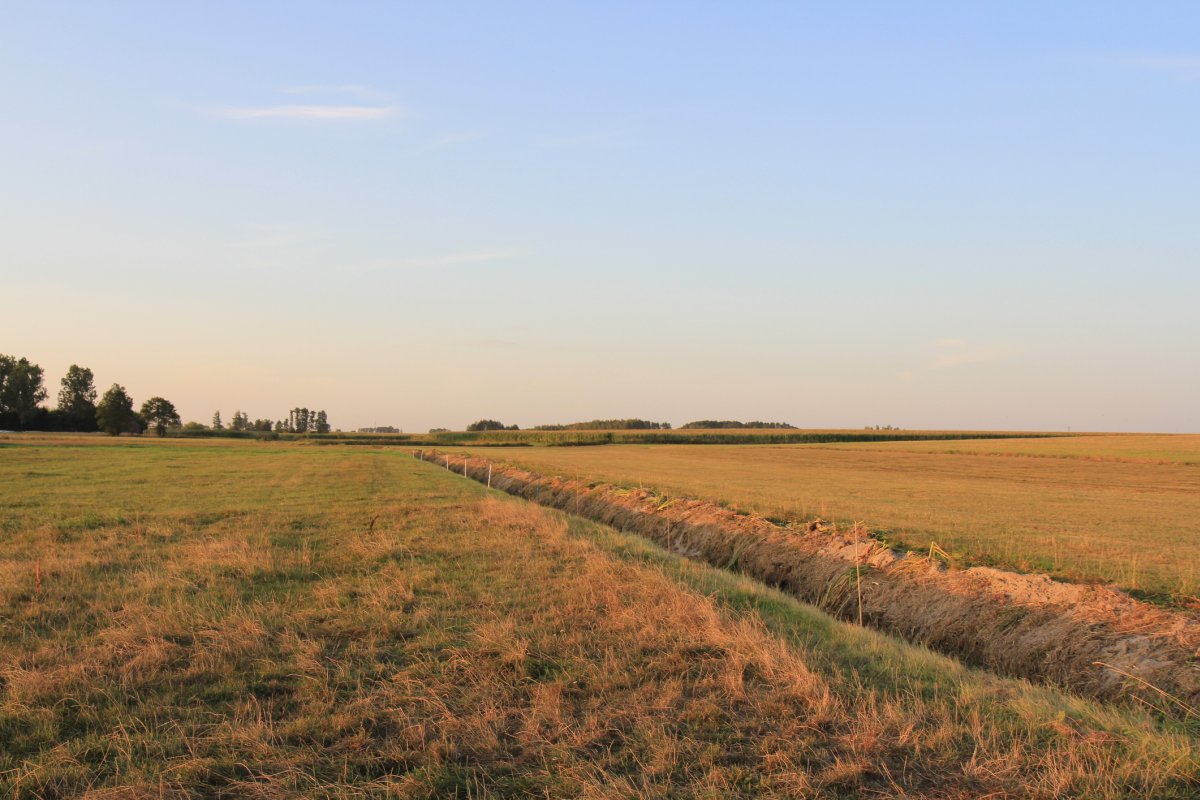 Step i susza w Polsce? Nasza nowa rzeczywistość - Fundacja Pszczoła ...