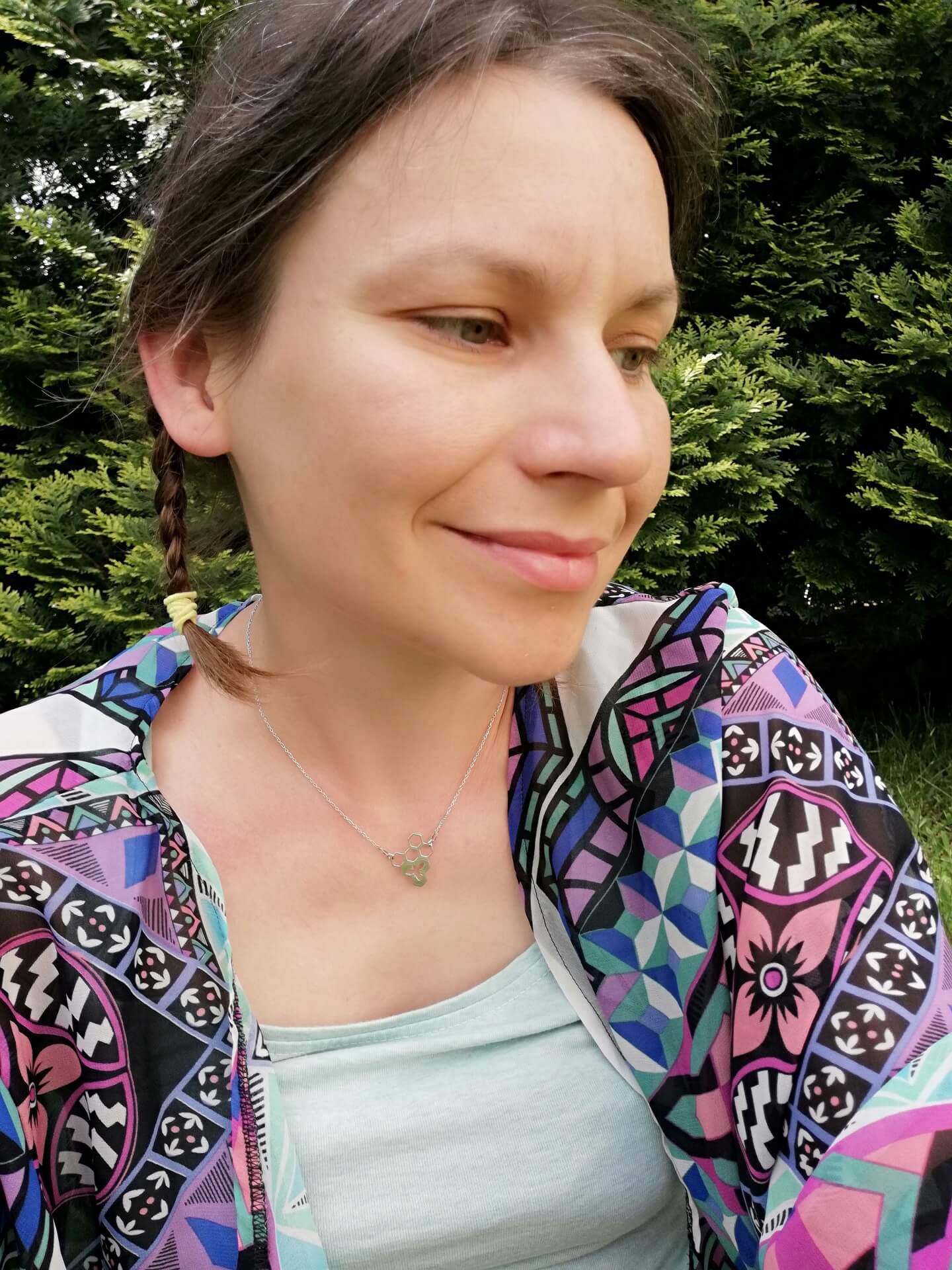 Z życia pasieki: Co to są rójki? - Fundacja Pszczoła Musi Być